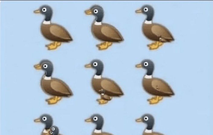 How many ducks are in the picture? The viral challenge sweeping the ...