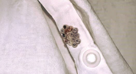 I Found Tiny Balls in My Bed - Here’s What They Turned Out to Be